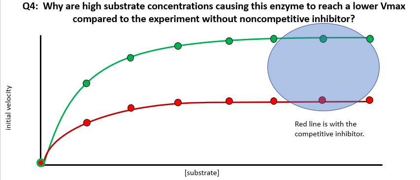Solved Q4: Why are high substrate concentrations causing | Chegg.com