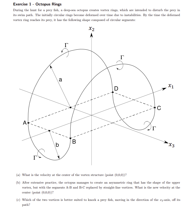 Exercise 1 - Octopus Rings During the hunt for a prey | Chegg.com