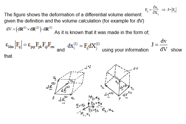 The figure shows the deformation of a differential | Chegg.com