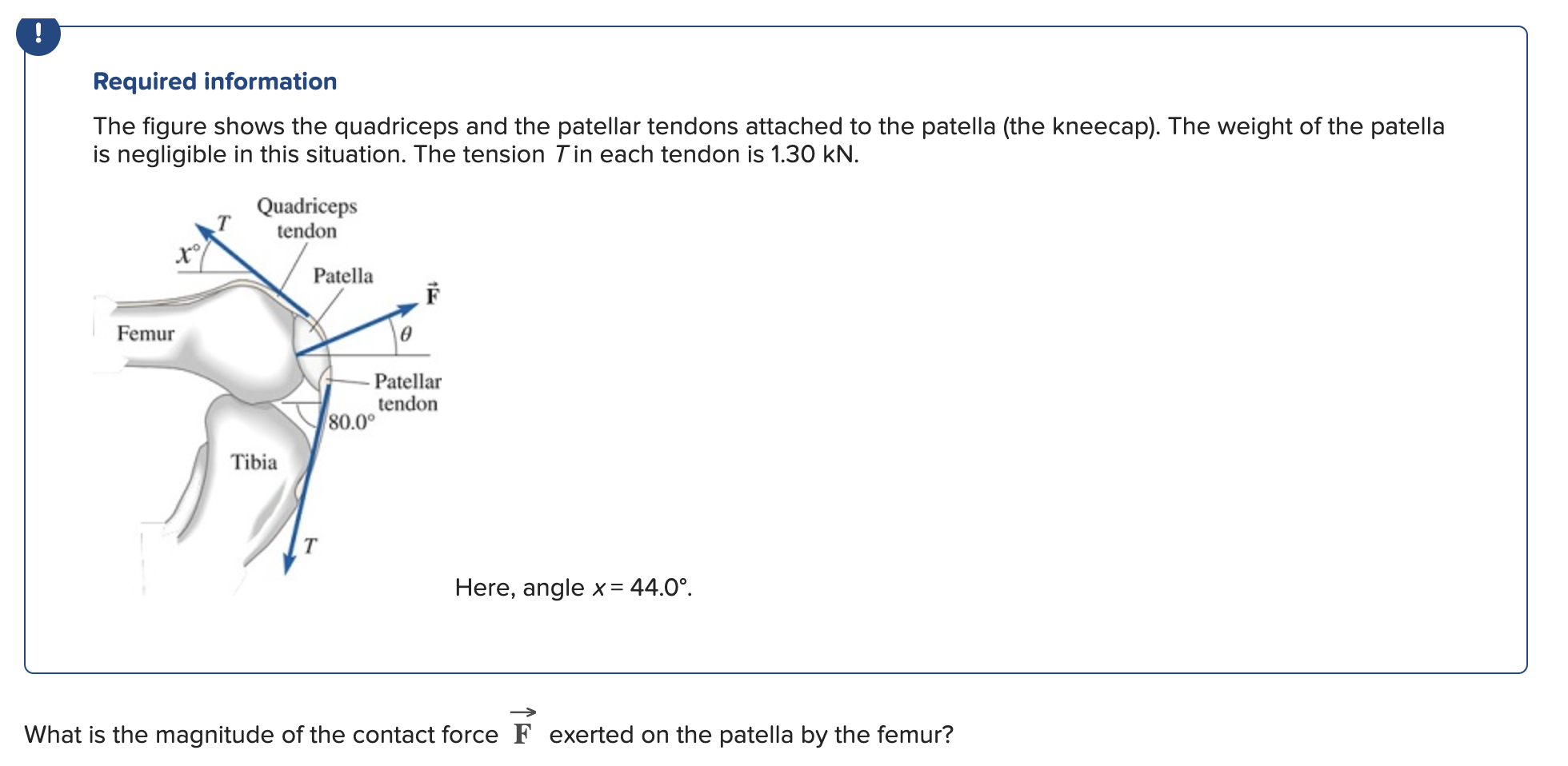 Solved Required information The figure shows the quadriceps | Chegg.com