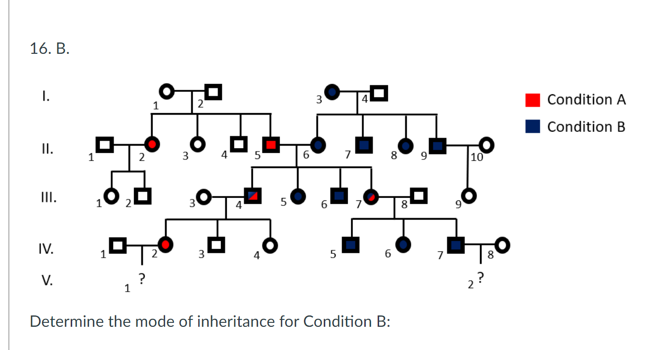 Solved Determine the mode of inheritance for Condition B: | Chegg.com