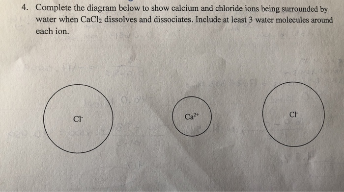 Solved 4. Complete the diagram below to show calcium and | Chegg.com