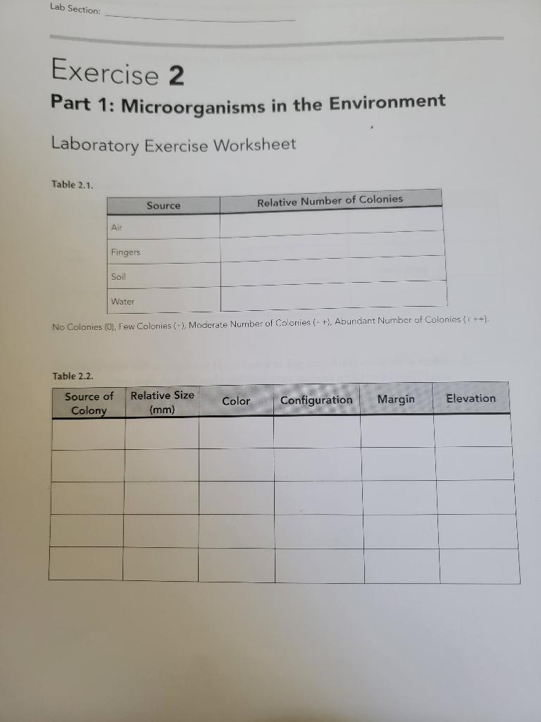 Solved Exercise 2 Part 1: Microorganisms in the Environment | Chegg.com