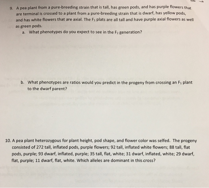 Solved A pea plant from a pure-breeding strain that is tall, | Chegg.com