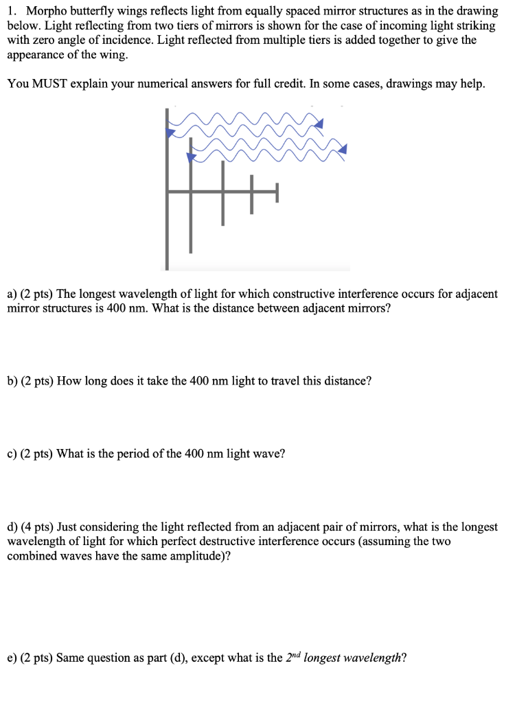 Solved 1. Morpho butterfly wings reflects light from equally | Chegg.com