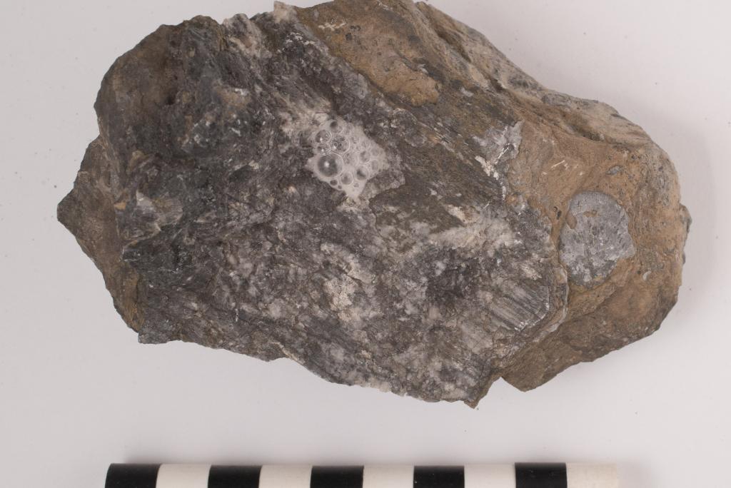 Solved Devonian. Igneous, sedimentary or | Chegg.com