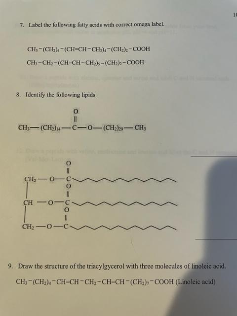 7. Label the following fatty acids with correct omega | Chegg.com