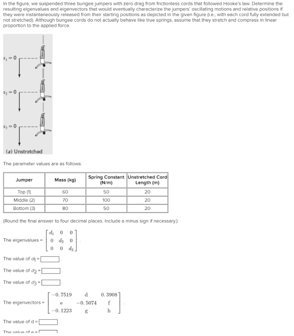 Solved In the figure, we suspended three bungee jumpers with | Chegg.com