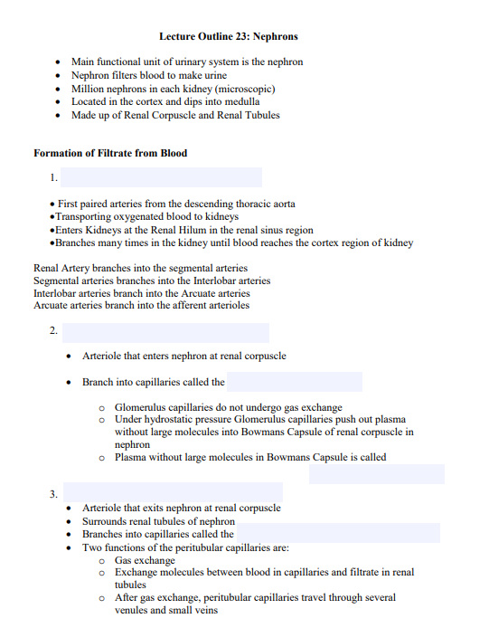 Lecture Outline 23: Nephrons - Main functional unit | Chegg.com