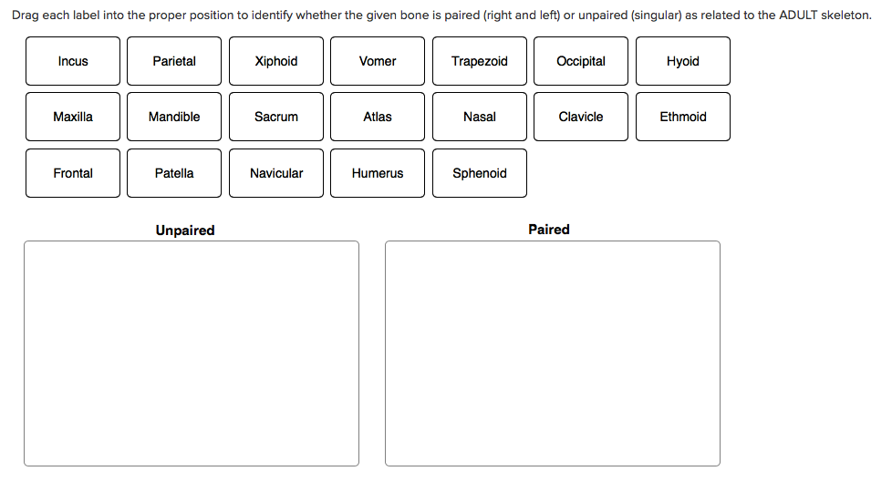 Solved Drag each label into the proper position to identify | Chegg.com