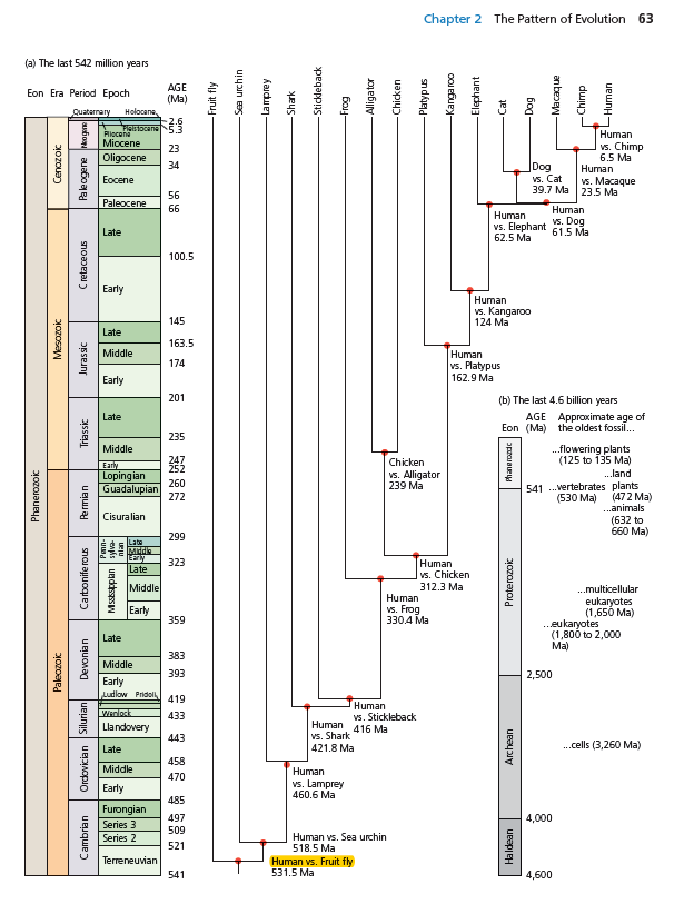 Solved 2.5 The Age of Earth By the time Darwin began writing | Chegg.com