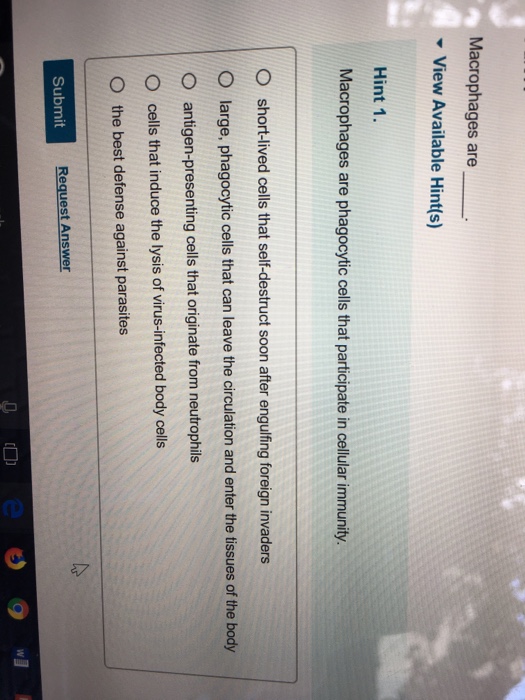 Solved Macrophages are View Available Hint(s) Hint 1. | Chegg.com