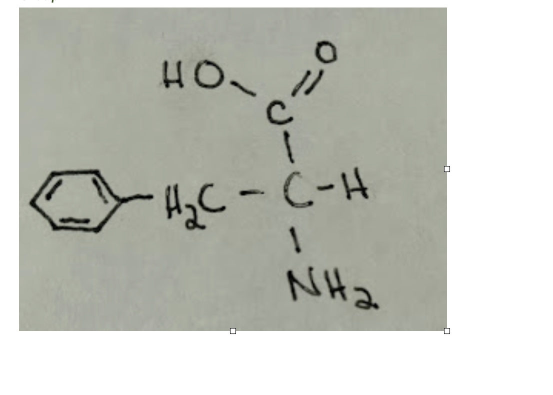 Solved Draw your amino acid on a scrap piece of paper. This | Chegg.com