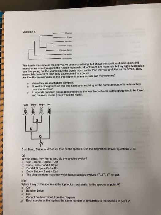 Solved Homework- Biology 2010 Tree thinking exercise Recent | Chegg.com