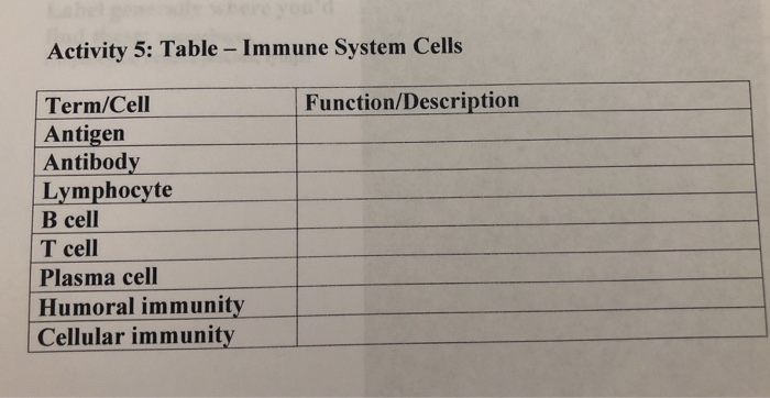 Solved Activity 5: Table - Immune System Cells | Chegg.com
