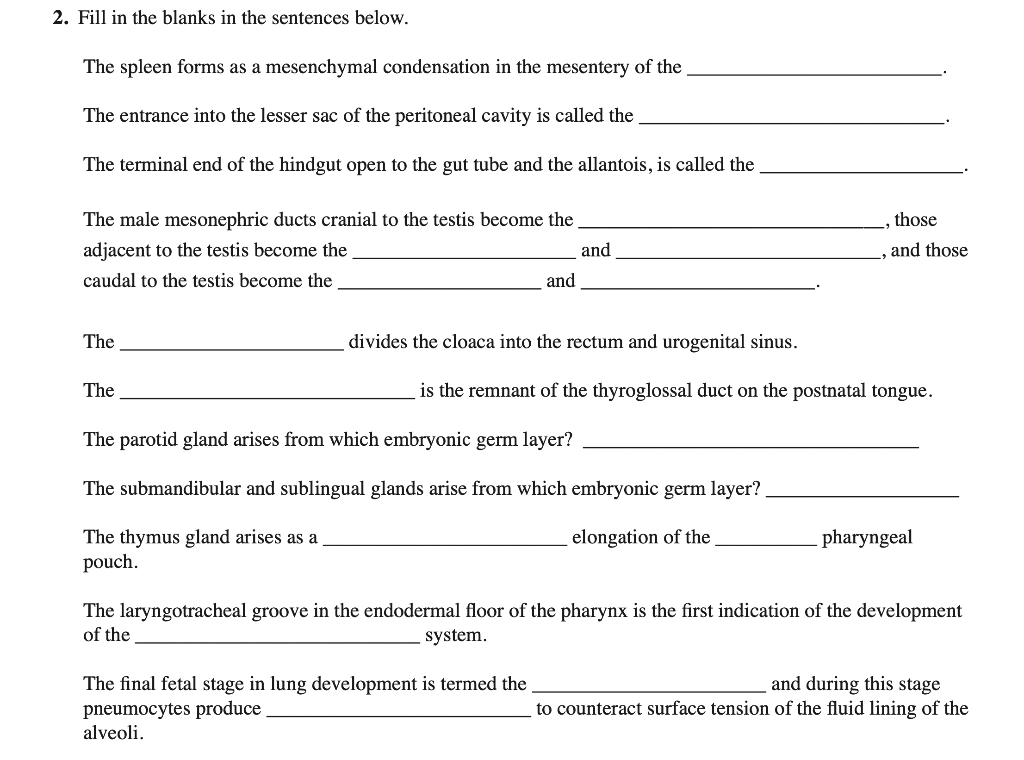 Solved Fill in the blanks in the sentences below. The spleen | Chegg.com