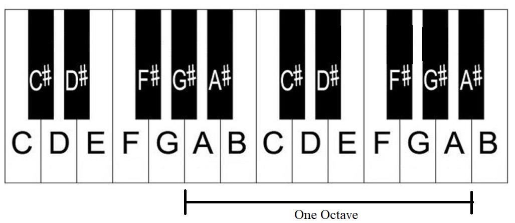 Solved Project Abstract and Main RequirementsIn this | Chegg.com