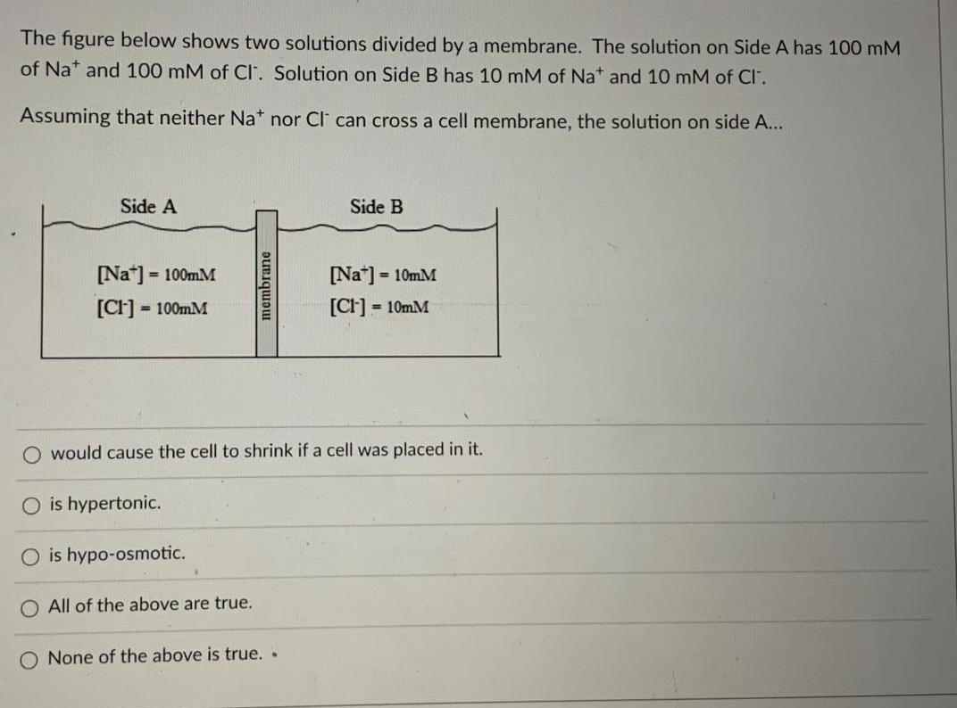 Solved For a cell at rest, what are the directions and | Chegg.com