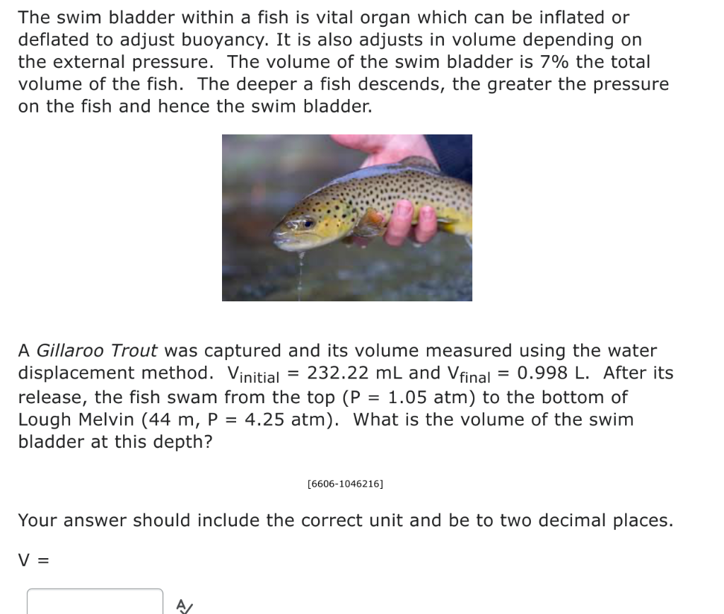 Solved The swim bladder within a fish is vital organ which | Chegg.com