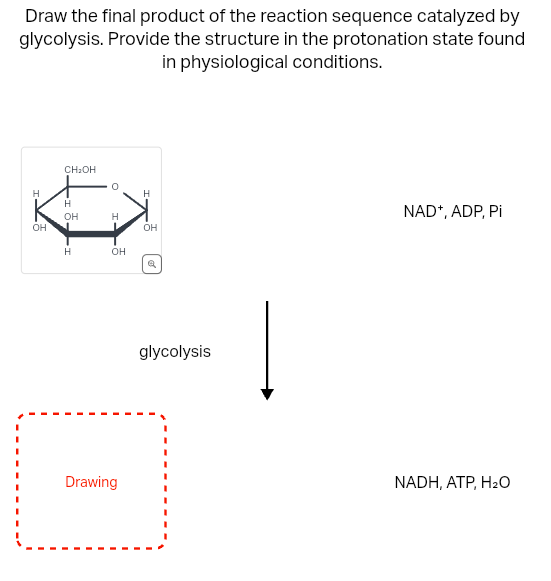 Draw the final product of the reaction sequence | Chegg.com