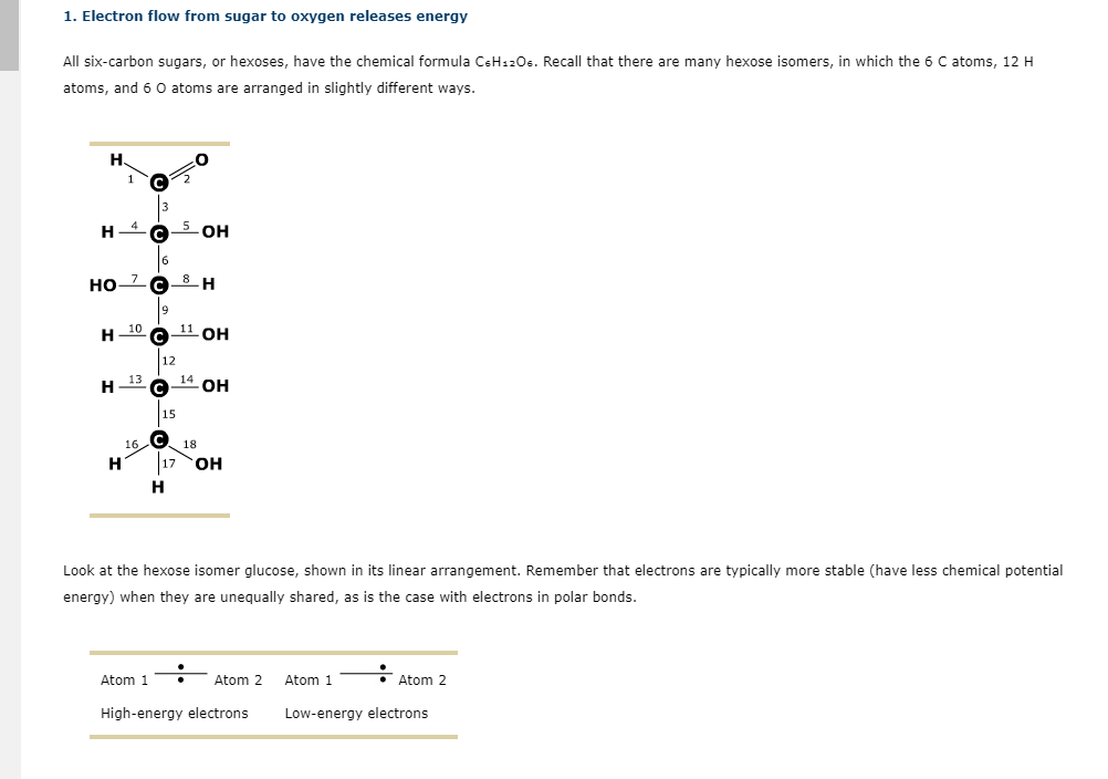 Solved 1. Electron flow from sugar to oxygen releases energy | Chegg.com