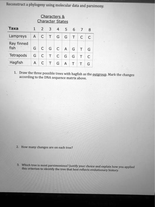 Solved Reconstruct a phylogeny using molecular data and | Chegg.com