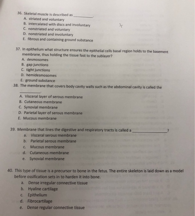 Solved DNA is a block of building 1. The basic monomer A. | Chegg.com