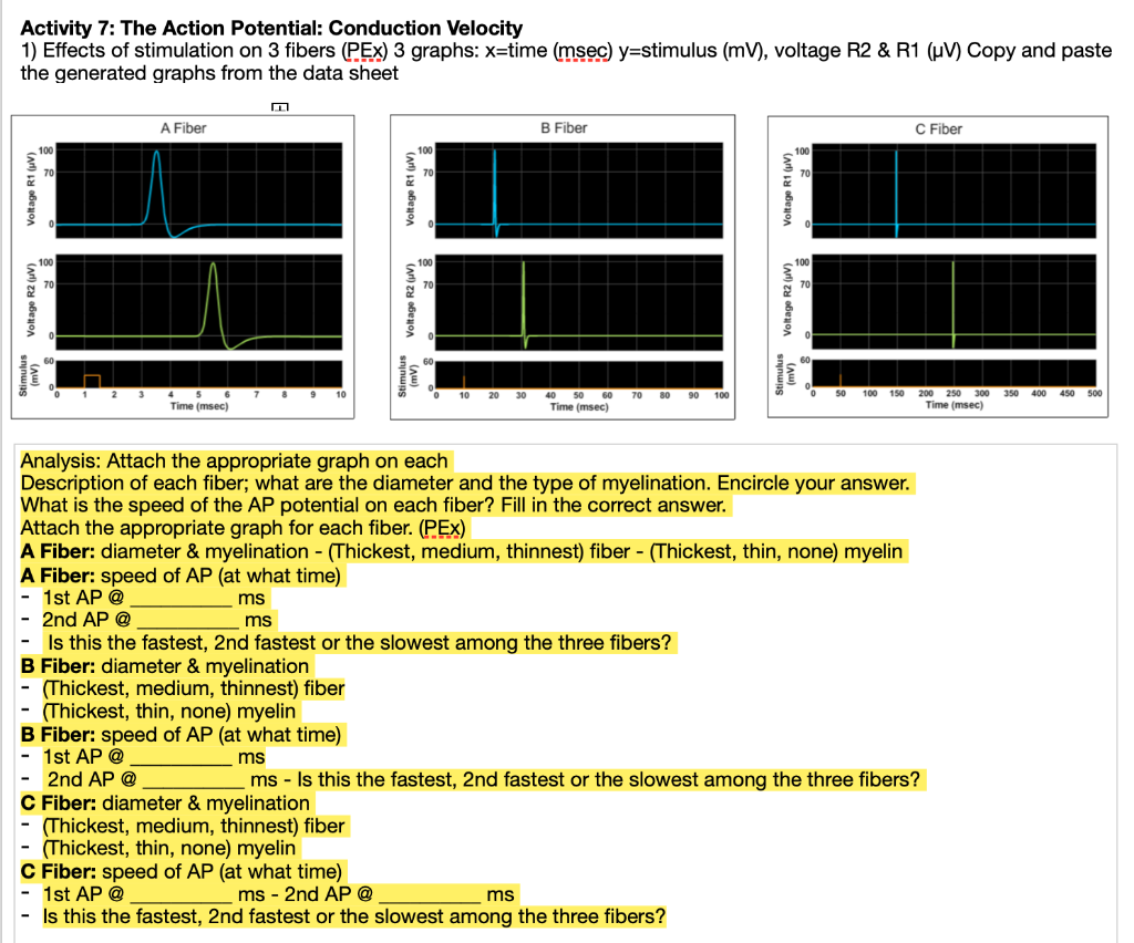 Activity 7: The Action Potential: Conduction Velocity | Chegg.com