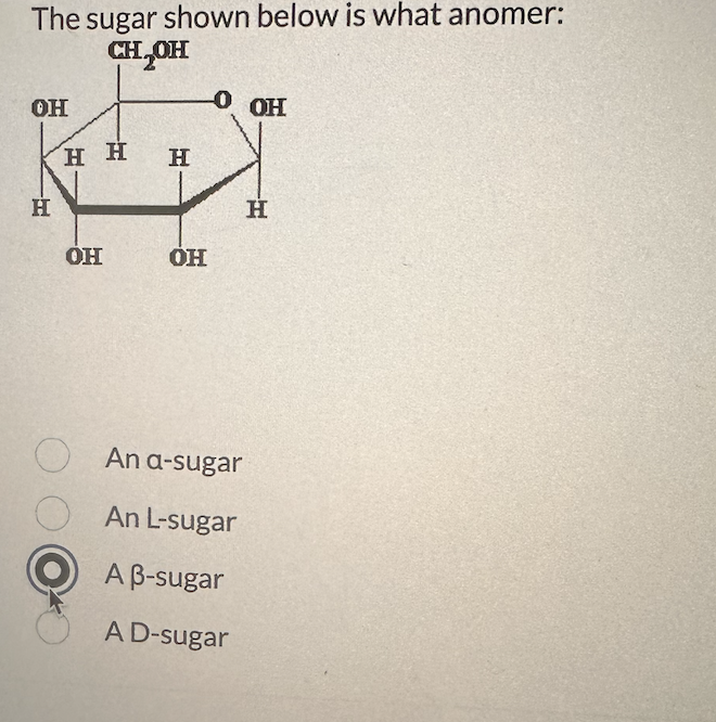 Solved The sugar shown below is what anomer: An a-sugar An | Chegg.com