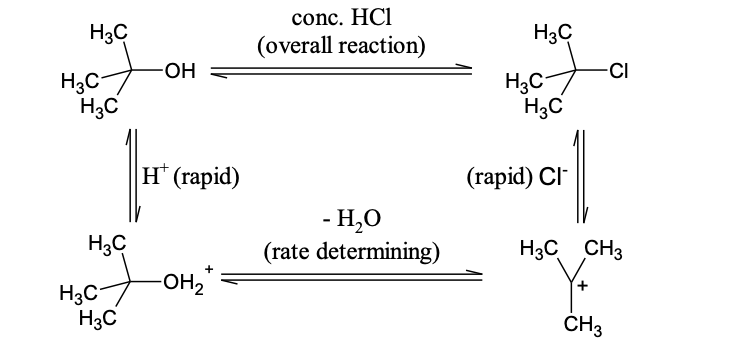 Solved What Is The Theoretical Yield Of T Butyl Chloride