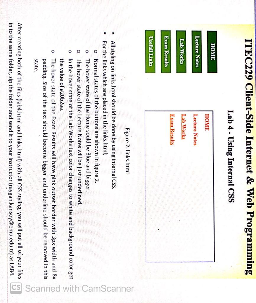 Solved ITEC 229 - LAB 4 - Using Internal CSS For Lab 4 you | Chegg.com
