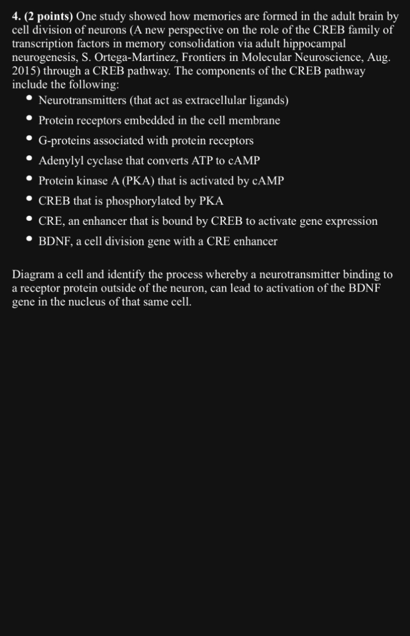 Solved Diagram a cell and identify the process whereby a | Chegg.com