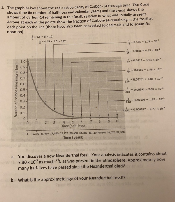 Solved 1. The graph below shows the radioactive decay of | Chegg.com