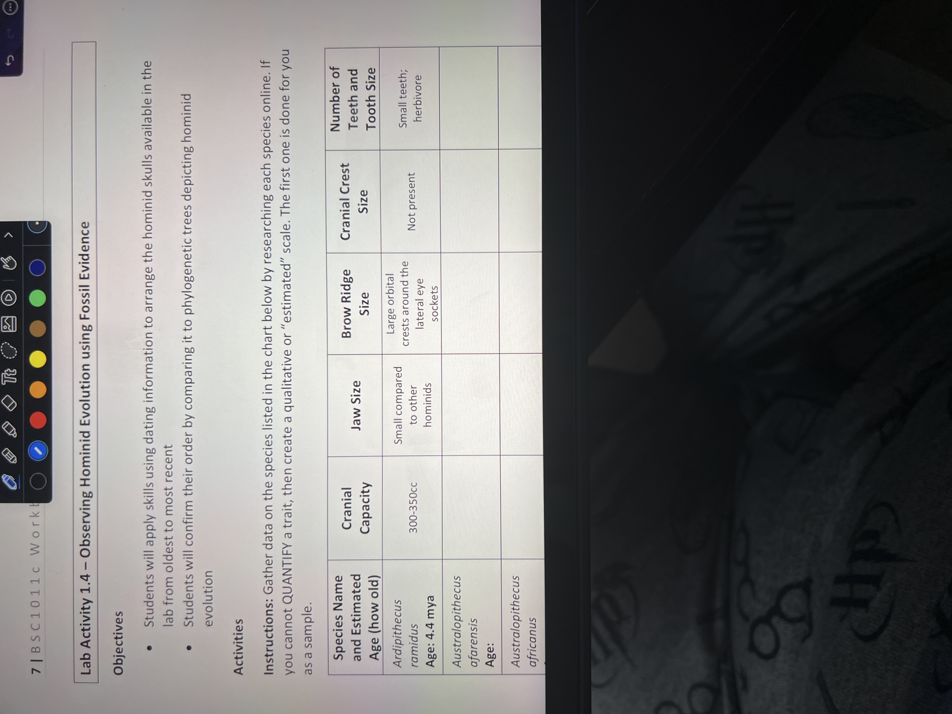 Solved Lab Activity 1.4 - ﻿Observing Hominid Evolution using | Chegg.com