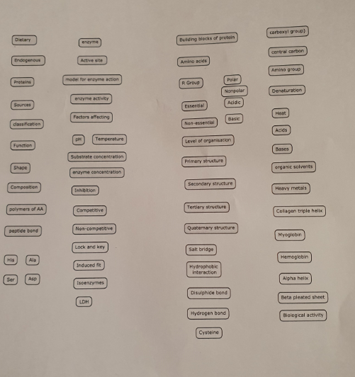 Solved Draw a concept map based on protein structure, | Chegg.com