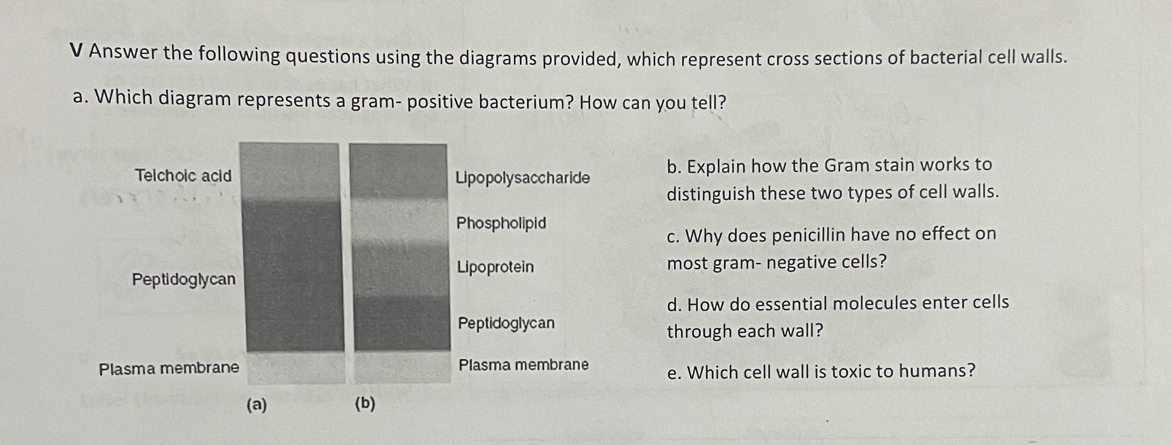 V Answer the following questions using the diagrams | Chegg.com