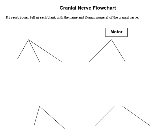 Solved Cranial Nerve FlowchartDi rections: Fill in each | Chegg.com