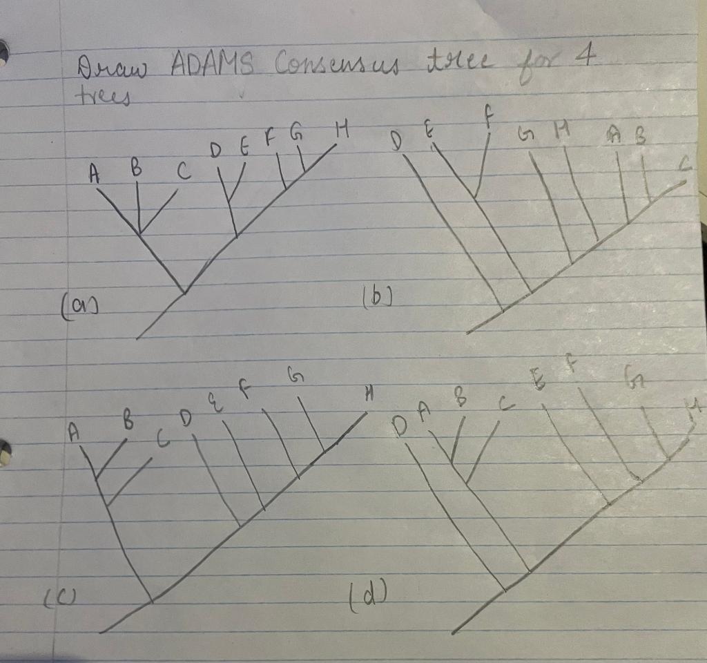 Oraw ADAMS Consensus tree for 4 | Chegg.com