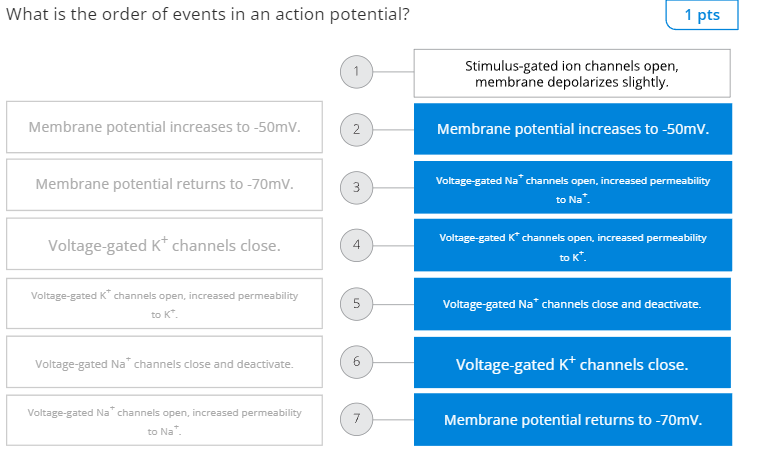 Solved What is the order of events in an action potential? | Chegg.com