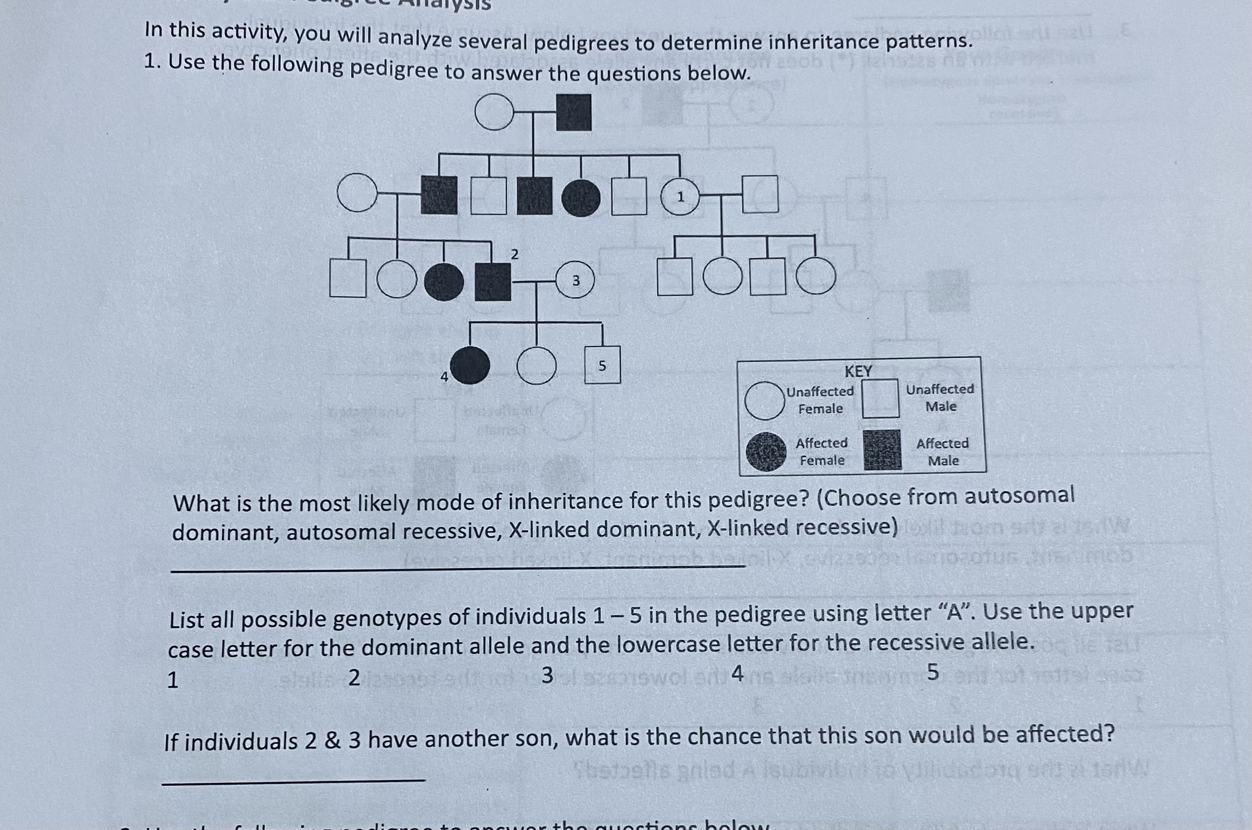 Solved In this activity, you will analyze several pedigrees | Chegg.com