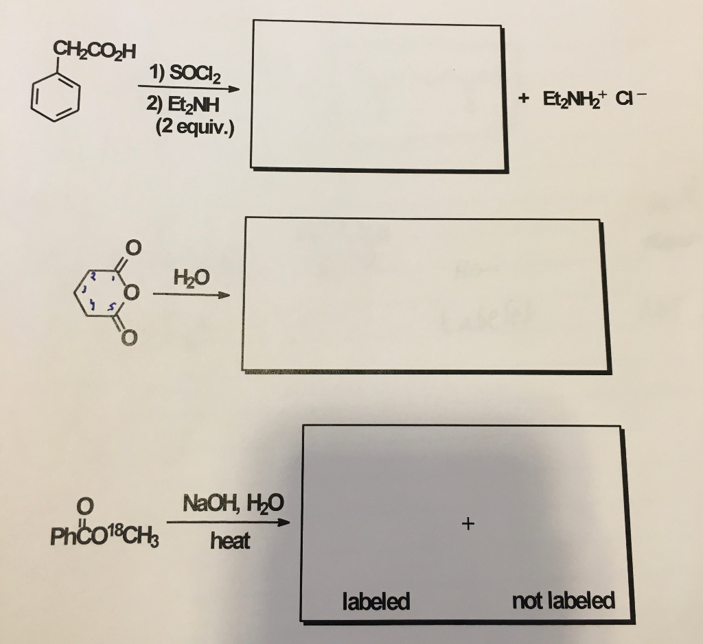 Solved CH2CO2H 1) SOCIZ 2) DANH (2 equiv.) + Et2NH2+ al- H2O | Chegg.com