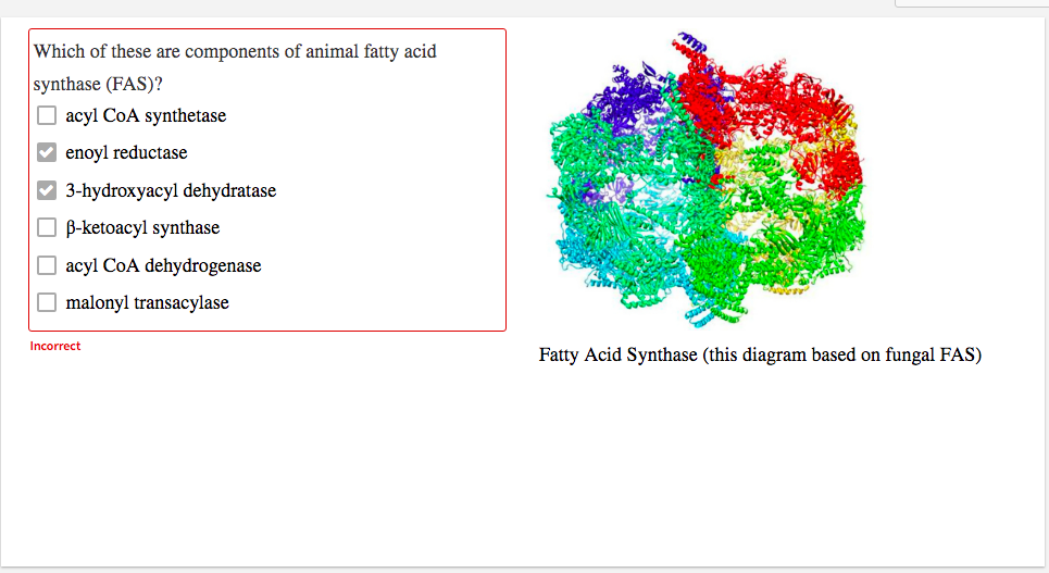 Solved Which of these are components of animal fatty acid | Chegg.com