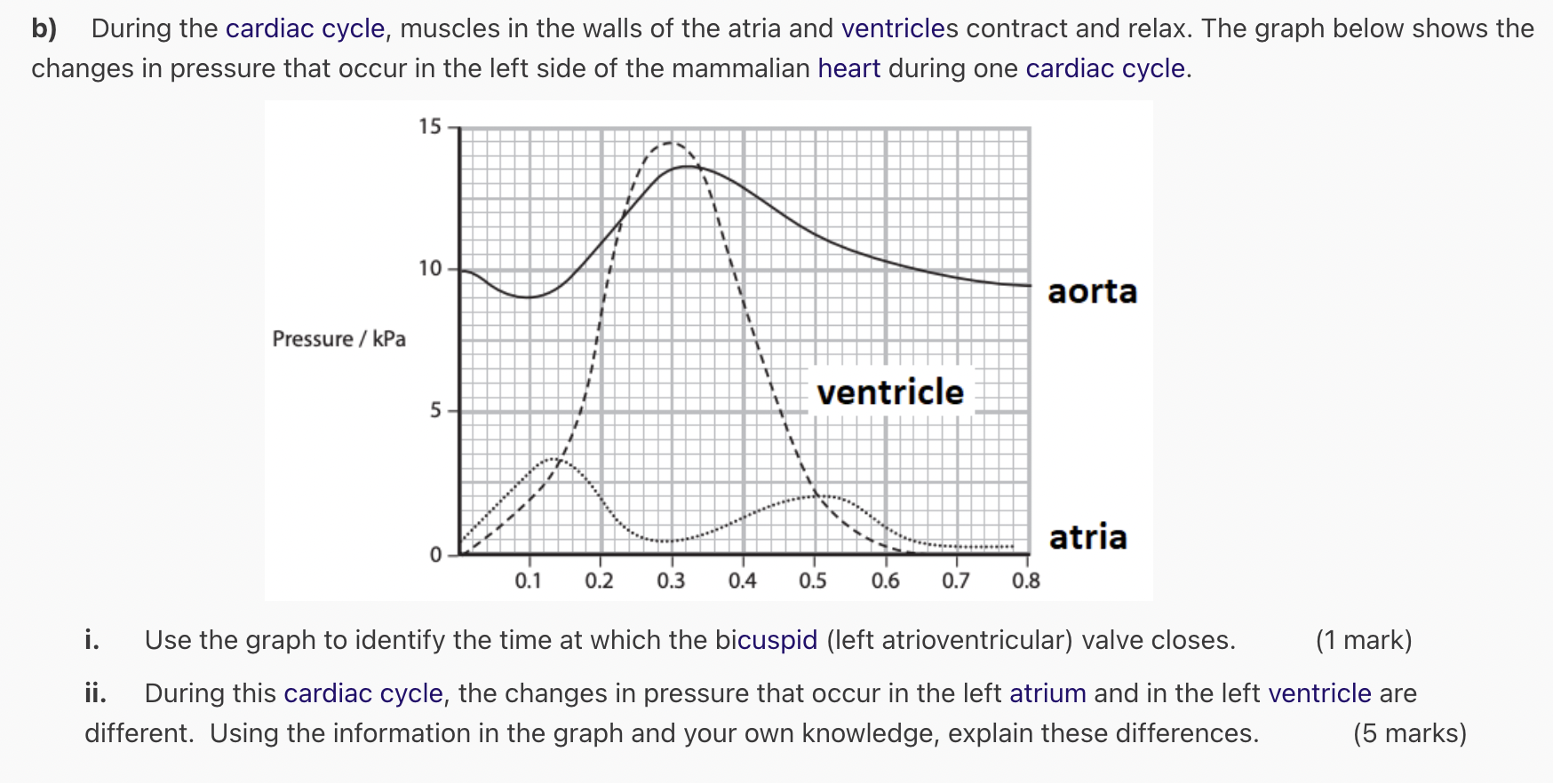 [Solved]: b) During the cardiac cycle, muscles in the wall
