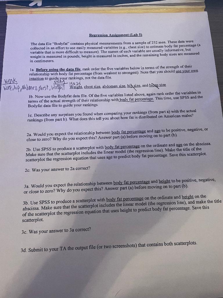 Regression Assigament (Lab 5) The data file "Bodyfat" | Chegg.com