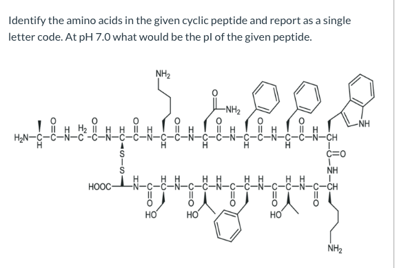 Identify the amino acids in the given cyclic peptide | Chegg.com