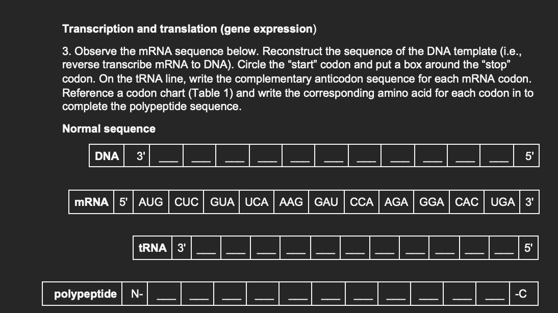 Solved Transcription and translation (gene expression) 3. | Chegg.com