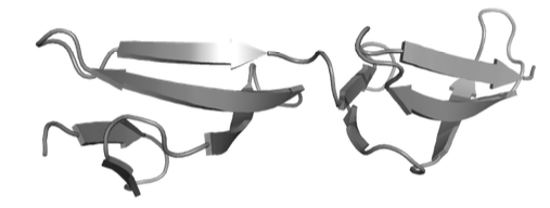 Solved Is the N terminus on the left or right side? | Chegg.com