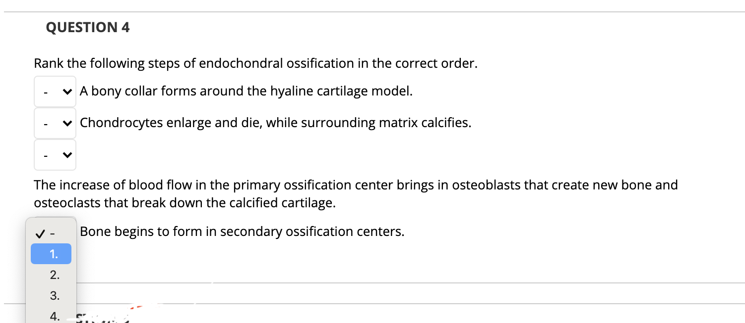 Solved QUESTION 4 Rank the following steps of endochondral | Chegg.com