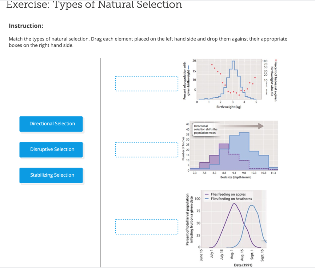 Solved Exercise: Types of Natural Selection Instruction: | Chegg.com