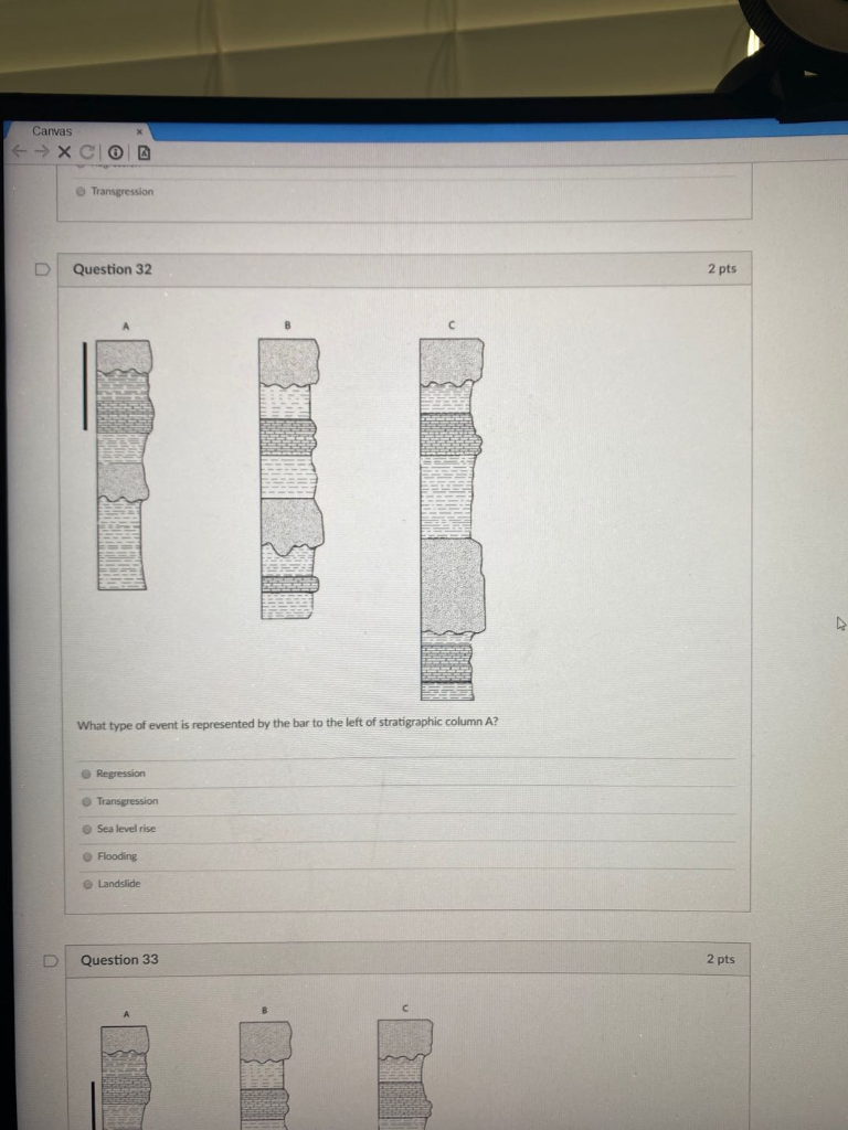 Canvas > X N Mud cracks Ripple marks Cross bedding | Chegg.com
